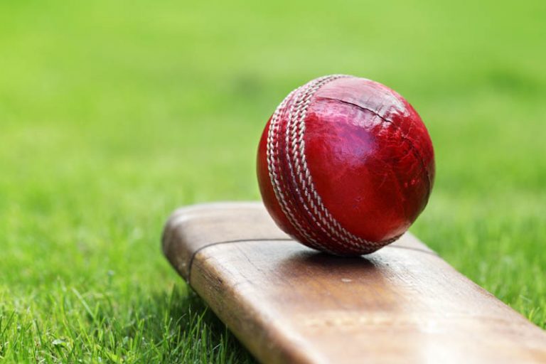 Cricket Balls – Red Or White? | Carrom Ball Beamers